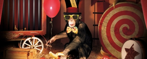 Monkey Business - Escape Hunt - Escape Game à Bruxelles