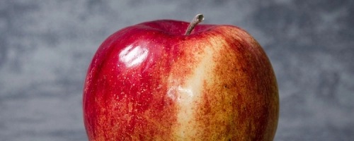 Le Mystère de la Pomme Perdue - L'Ichu - Escape Game à Romont