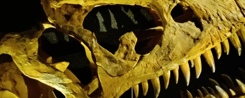 T.Rex Mission - Escape Lab - Escape Game à Paris